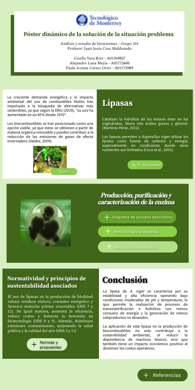 Póster dinámico de la solución de la situación problema | Genially