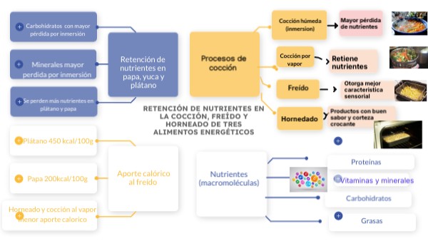 RETENCIÓN DE NUTRIENTES EN LA COCCIÓN, FREÍDO Y HORNEADO DE TRES ...