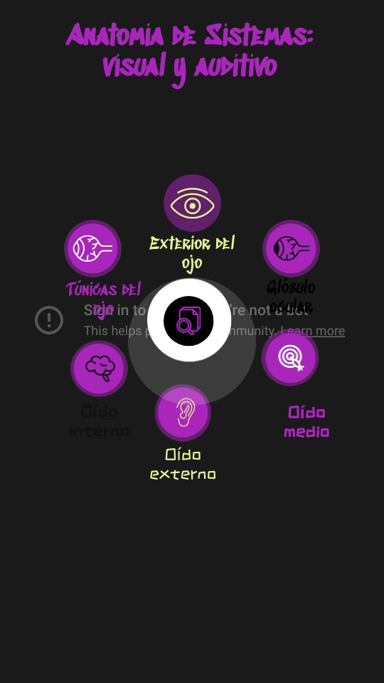 Anatomía de Sistemas: visual y auditivo | Genially