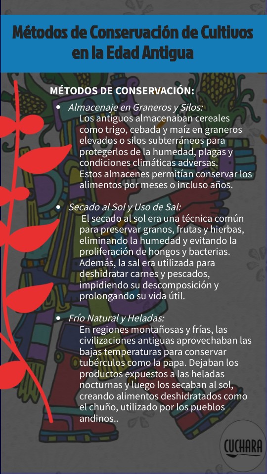 Métodos de Conservación de Cultivos en la Edad Antigua | Genially