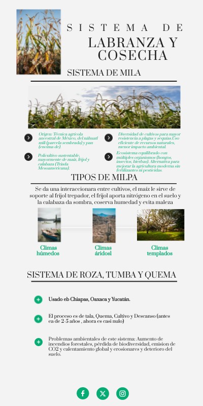 LABRANZA Y COSECHA | Genially