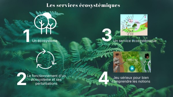 CI-services-ecosystemiques | Genially