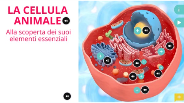 LA CELLULA ANIMALE | Genially