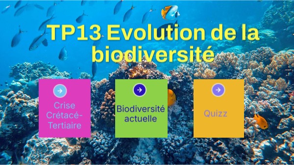 TP13 Evolution de la biodiversité | Genially