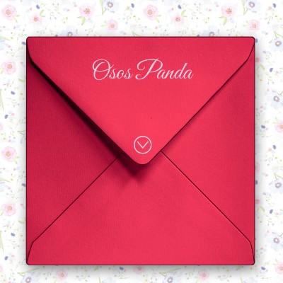 Osos Panda | Genially