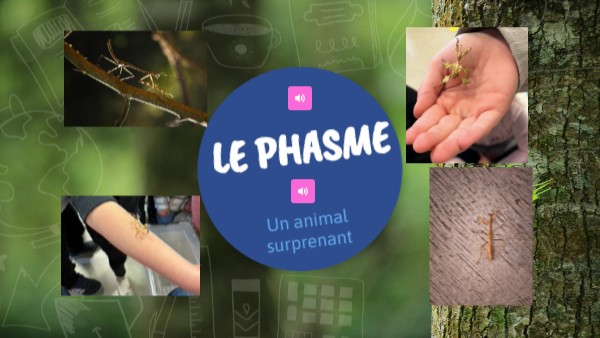 LE PHASME | Genially