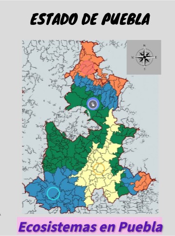 Estado de Puebla | Genially