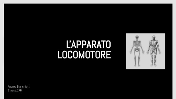 l'apparato locomotore | Genially