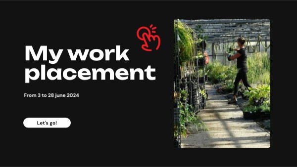 My work placement | Genially