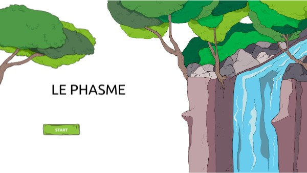 Le phasme | Genially