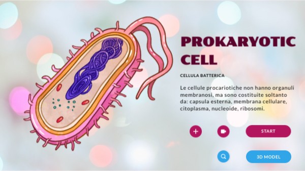 prokaryotic cell | Genially