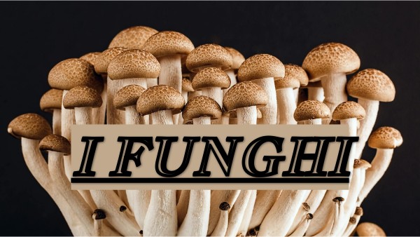 I funghi | Genially