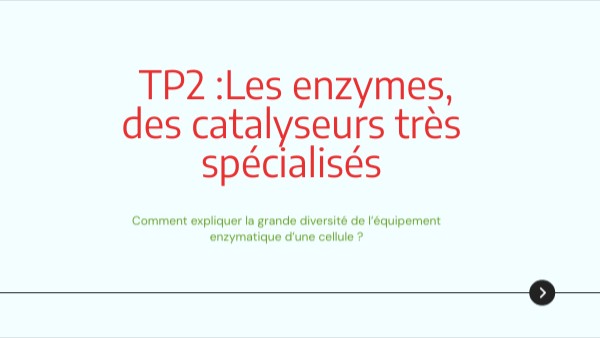 TP2 :Les enzymes, des catalyseurs très spécialisés | Genially