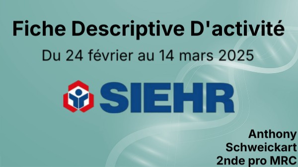 Fiche Descriptive D'activité | Genially