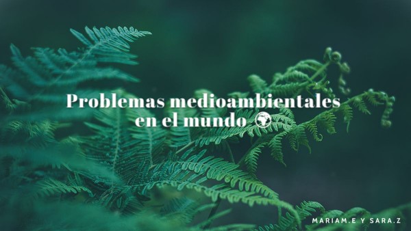 Problemas medioambientales en el mundo 🌍 | Genially