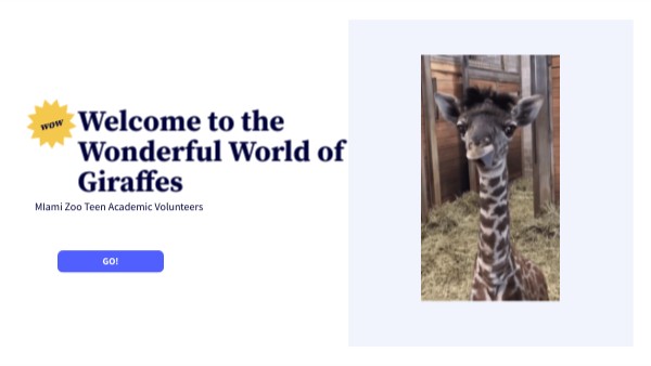 Welcome to the Wonderful World of Giraffes | Genially