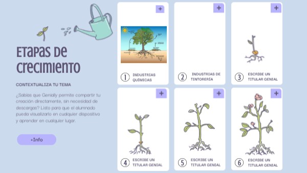 Etapas de crecimiento | Genially