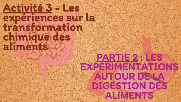 TD digestion - 5ème | Genially