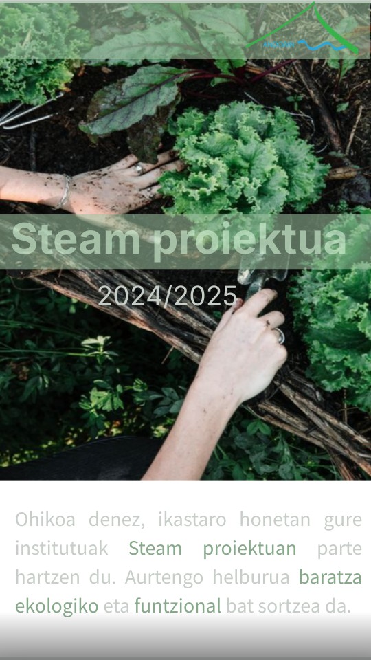 Steam proiektua 2024/2025 | Genially