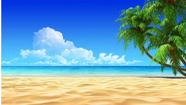 Exercice Genially #2 | Genially