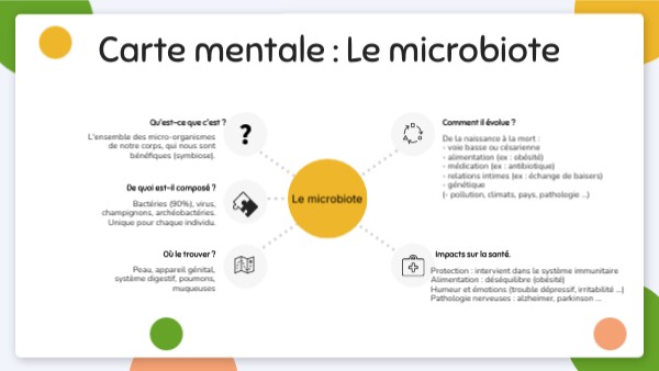 Carte mentale : Le microbiote | Genially