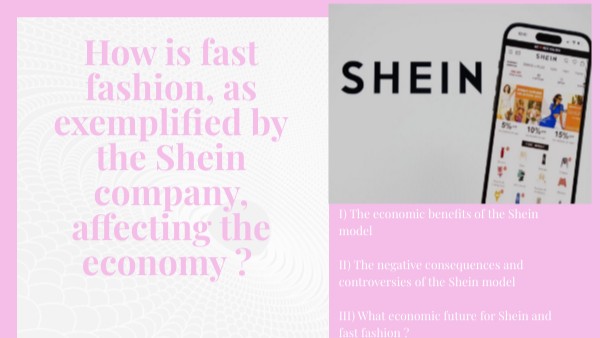 How is fast fashion, as exemplified by the Shein company, affecting the ...