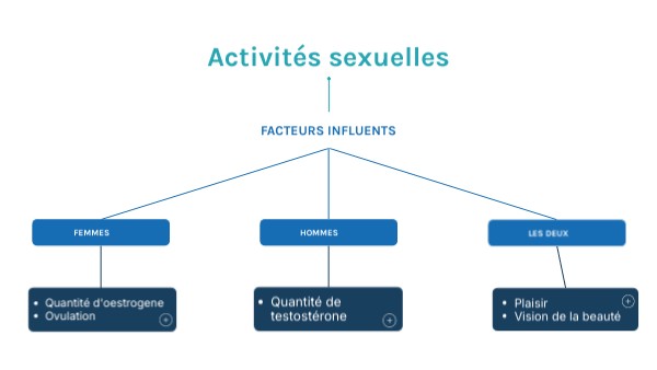 Activités sexuelles | Genially