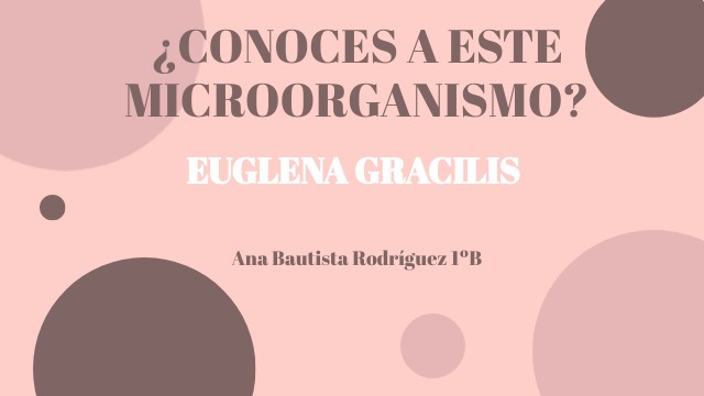 ¿CONOCES A ESTE MICROORGANISMO? | Genially