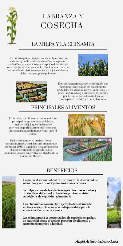 Historia de la alimentación. act 9 | Genially