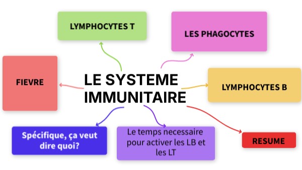LE SYSTEME IMMUNITAIRE | Genially