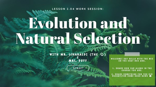 NEW 2.04 LL Work Session | Genially