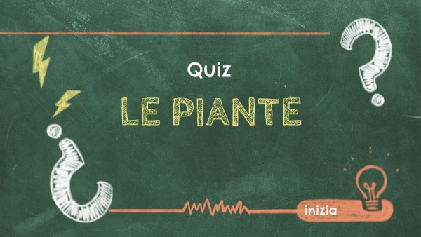 Le piante | Genially