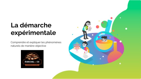 La démarche expérimentale | Genially