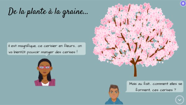 De la plante à la graine... | Genially
