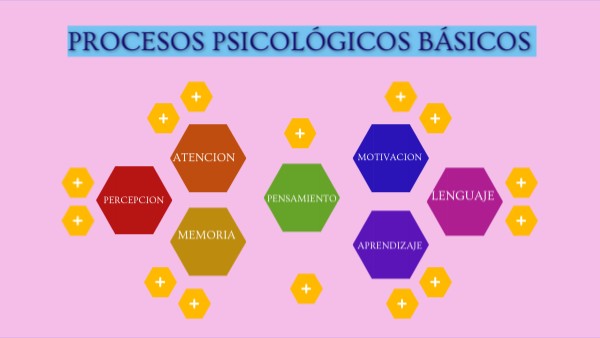 PROCESOS PSICOLÓGICOS BÁSICOS | Genially