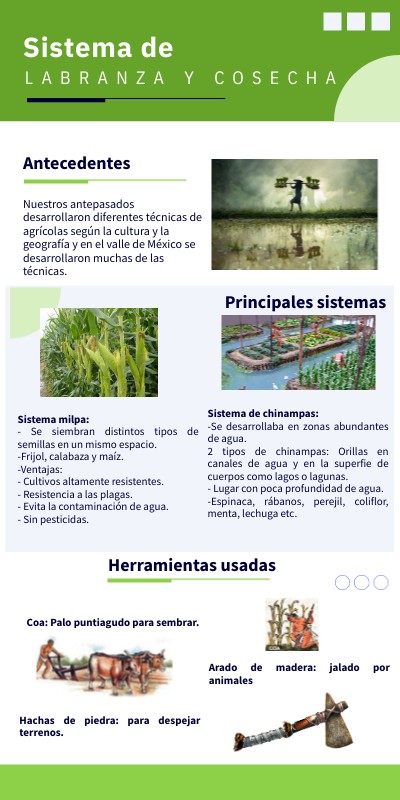 Sistema de | Genially