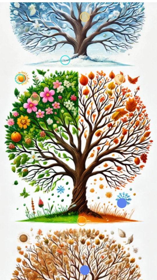 Ysee - saisons | Genially