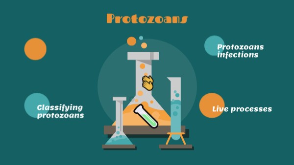 Protozoans | Genially