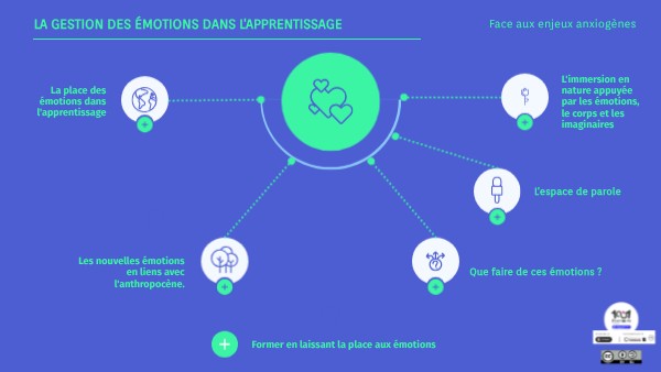 La gestion des émotions dans l'apprentissage | Genially