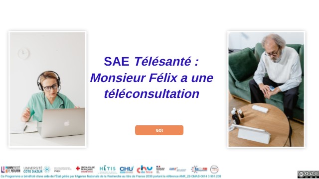 SAE - Télésanté - N3 | Genially