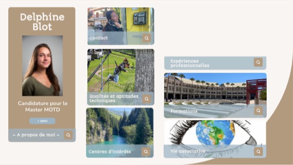 CV créatif et original - Delphine Blot | Genially