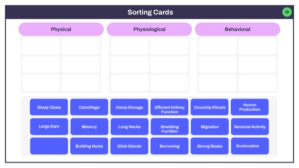 Sorting Cards | Genially