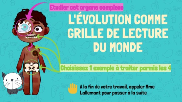 L'évolution comme grille de lecture du monde | Genially