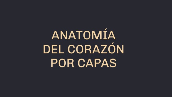 ANATOMÍA DEL CORAZÓN POR CAPAS_Tania Vázquez | Genially