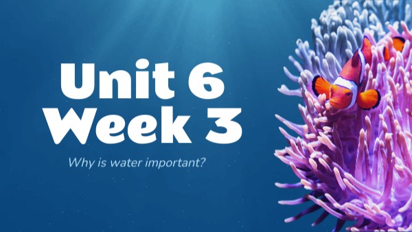 PROJECT W3 | Genially