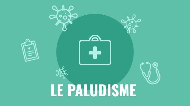 Le paludisme | Genially