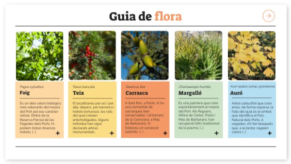 206. Guia de flora | Genially