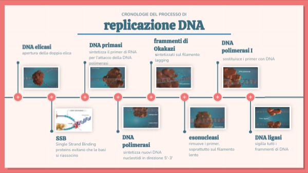 replicazione DNA | Genially