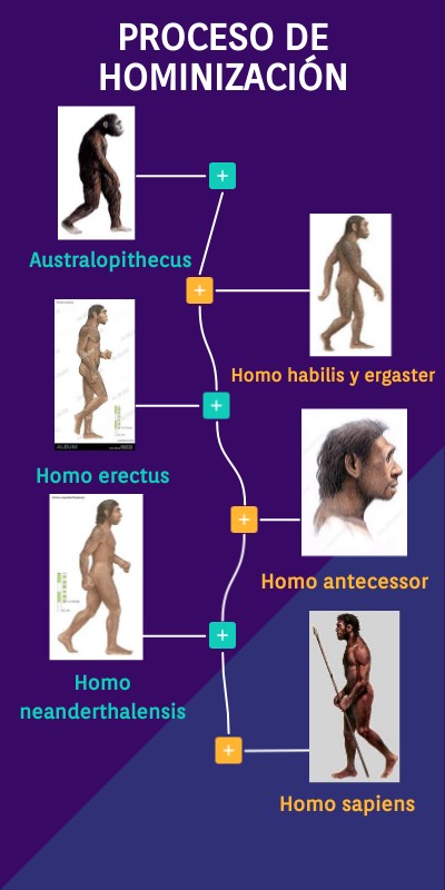 PROCESO DE HOMINIZACIÓN | Genially