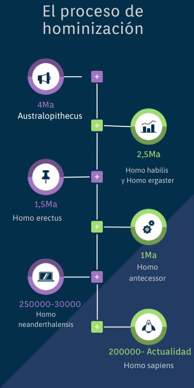 El proceso de hominización | Genially